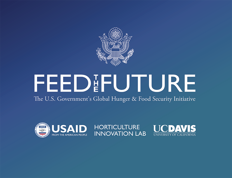 Feed the Future Innovation Lab for Horticulture Announces New Portfolio of Regionally-led ...